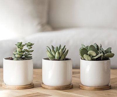 100+ Birthday Gifts For Mom That'll Make You Child Of The Year