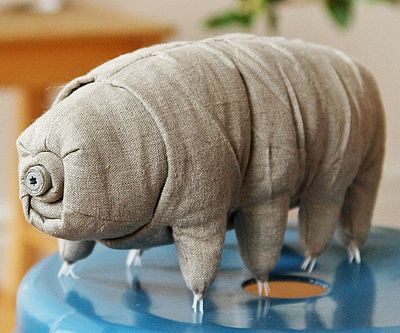 35 Mind-blowing Science Toys That Kids & Adults Will Truly Geek Out Over