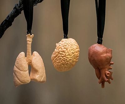 27 Absolutely Disgusting Gifts That Are Guaranteed To Gross Anyone Out