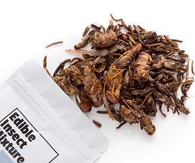 27 Absolutely Disgusting Gifts That Are Guaranteed To Gross Anyone Out