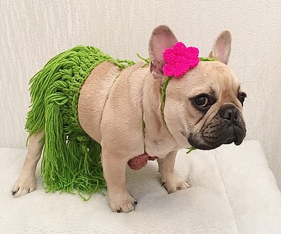 27 Barkin' Awesome Pet Costumes That'll Level Up Your Pet's Halloween Game