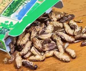 ThisIsWhyImBroke :: The Internet's Mall