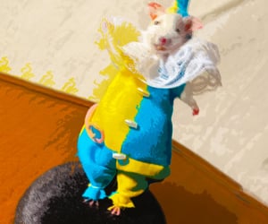 27 Absolutely Disgusting Gifts That Are Guaranteed To Gross Anyone Out