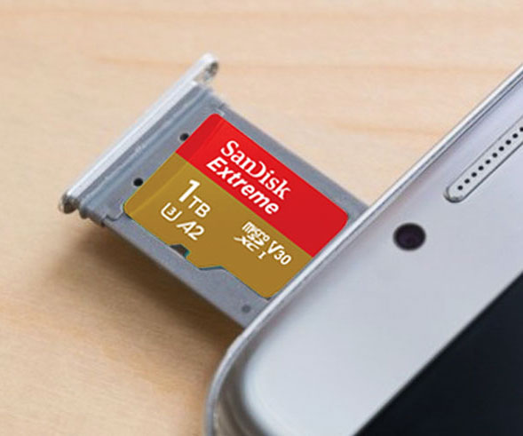 1TB MicroSD Card