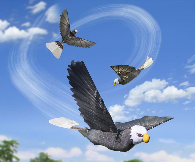 RC Realistic Flying Eagle