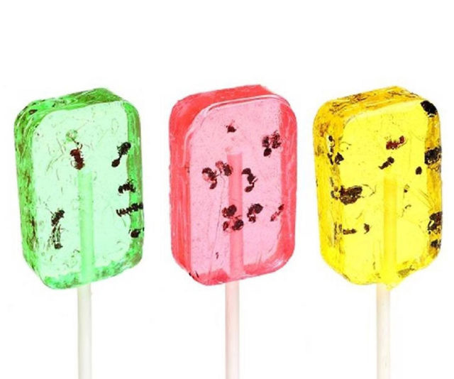 Real Ant Filled Lollipops
