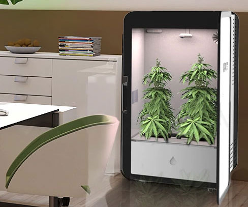 Complete Indoor Marijuana Growing Systems