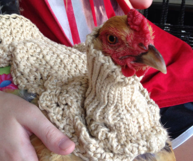 Chicken Turtleneck Sweater