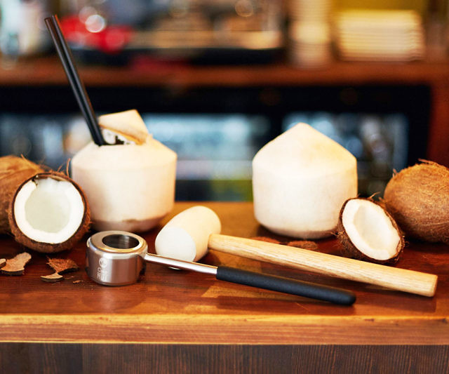 Coconut Opening Kit