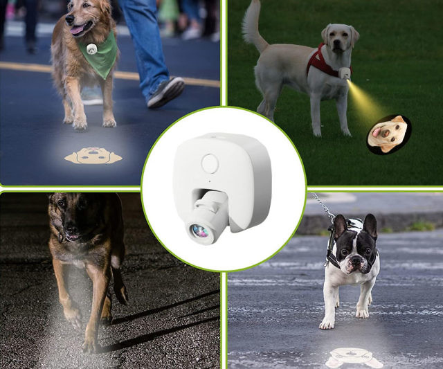 Dog Breed Collar Light Projector