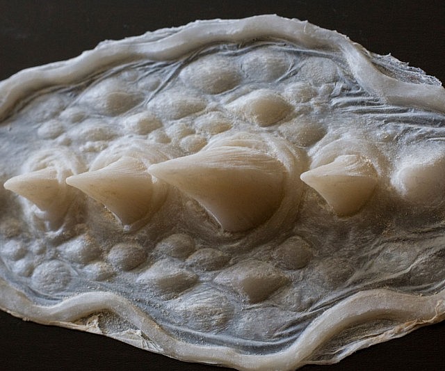 Dragon Spikes Prosthetic