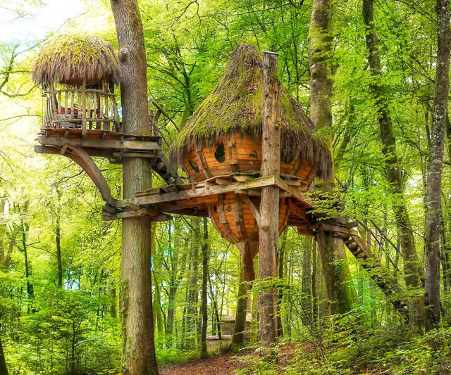 Drommen Shack Treehouse Airbnb