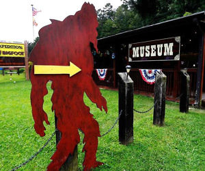 Expedition Bigfoot Sasquatch Museum