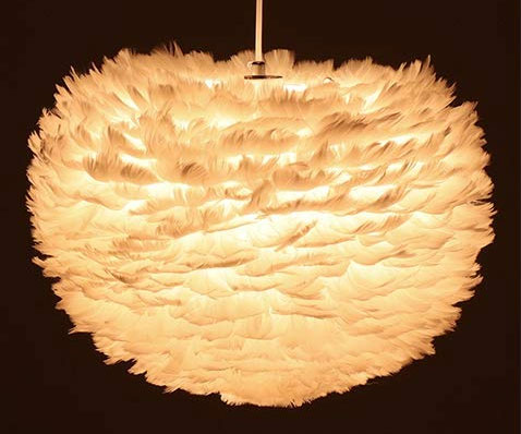 Feather Pendant Light