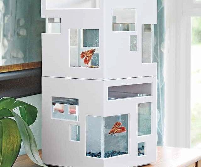 Fish Condo Aquarium