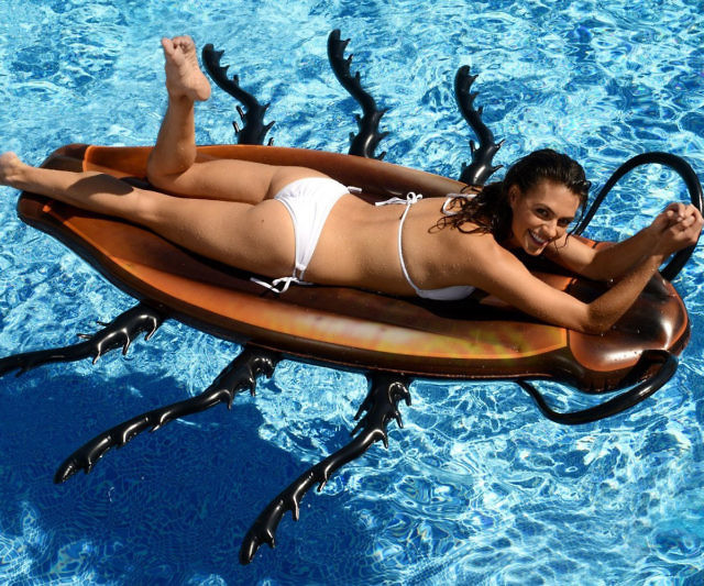 Giant Cockroach Float