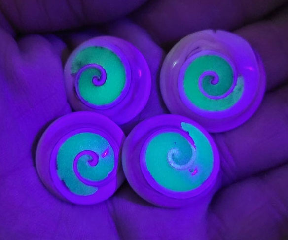 Glow In The Dark Cabochon Sea Shells