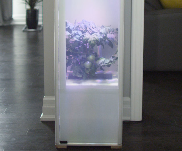 Automated Indoor Garden