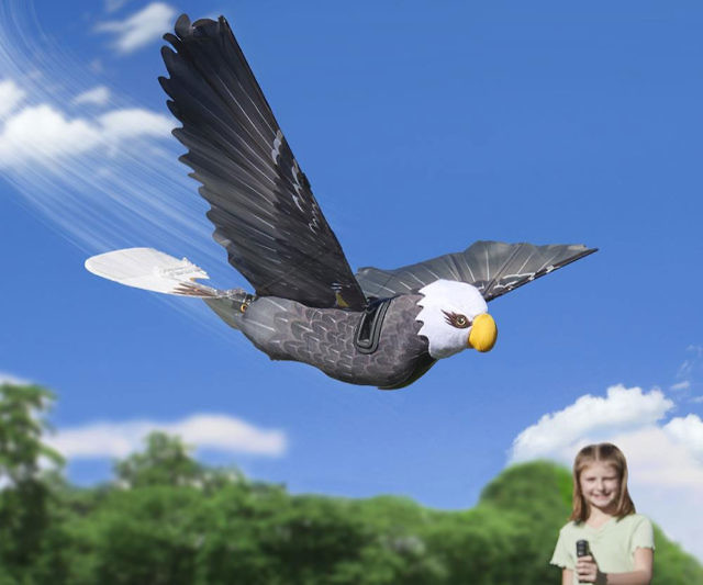 RC Realistic Flying Eagle