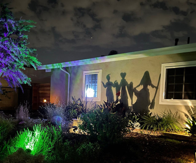 Hocus Pocus Witches Shadow Caster