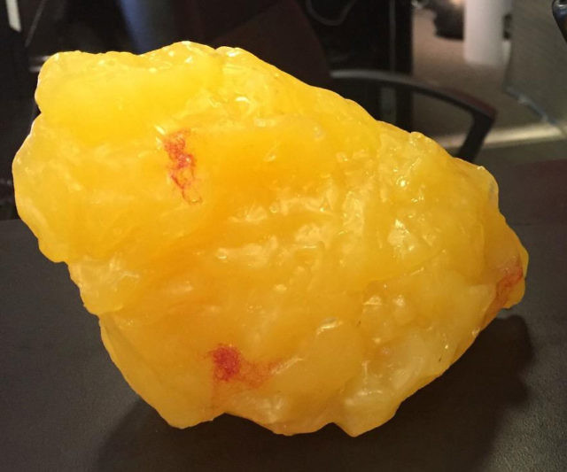 Human Body Fat Replica Human Body Fat Replica