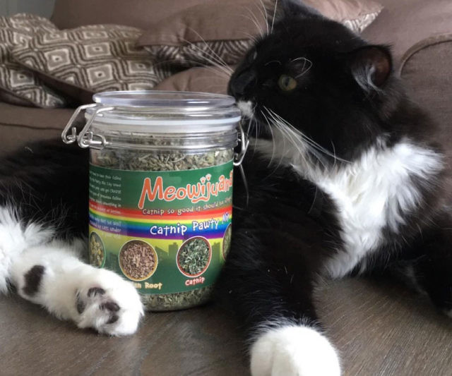 Meowijuana Premium Catnip