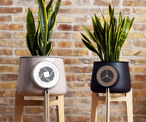 The Natural Air Purifier | LavaHotDeals.com