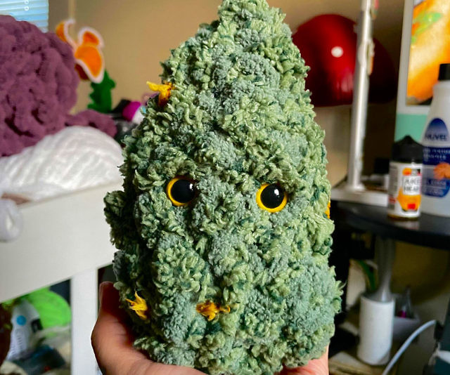 Nug New 'Assassin Bug' Species Discovered In Arizona Cave | Live