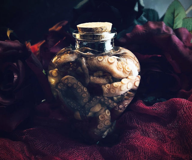 Octopus Tentacle Heart Shaped Bottle