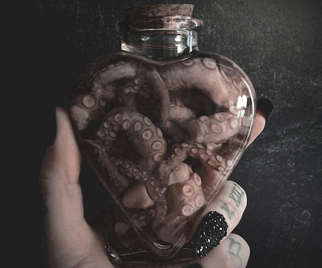 Octopus Tentacle Heart Shaped Bottle