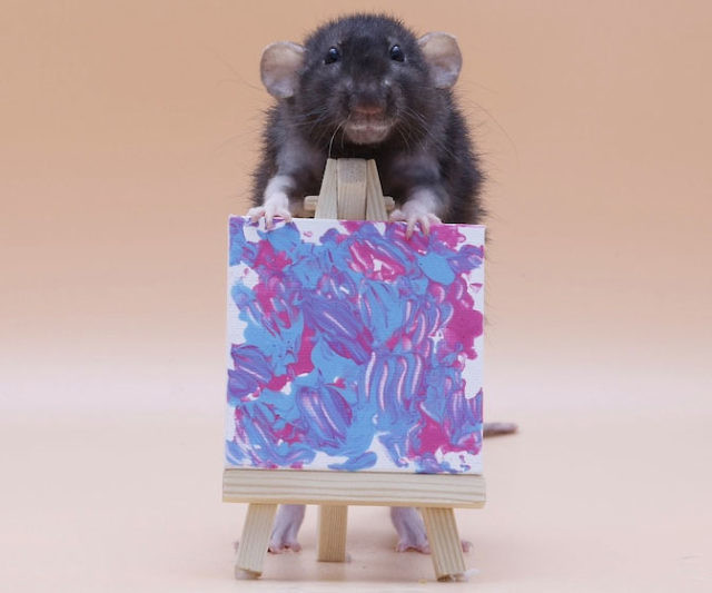 Rat Paintings