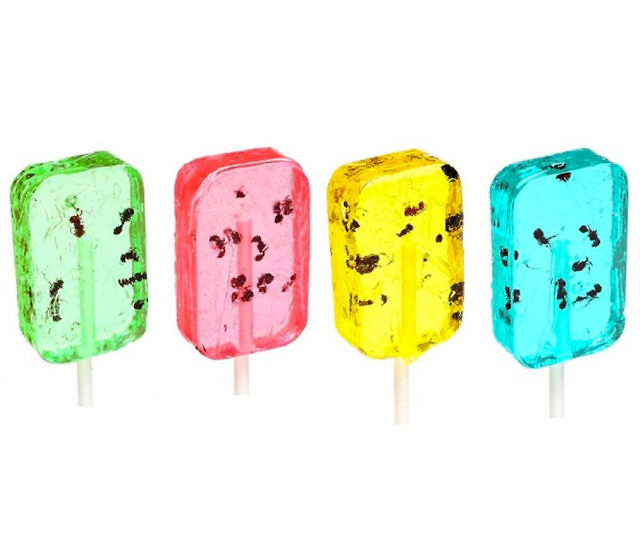 Real Ant Filled Lollipops