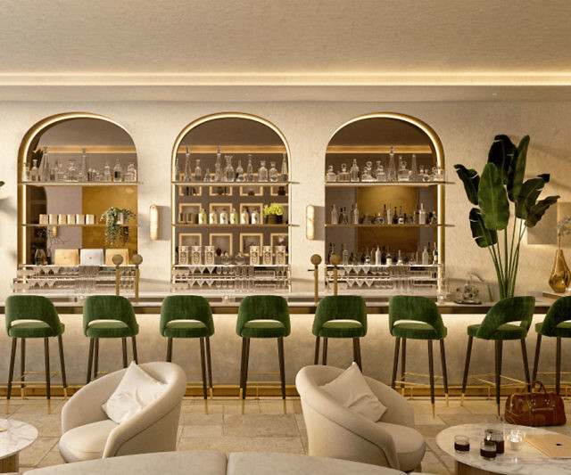 Saint Haven Wellness Social Club