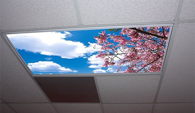 Faux Sky Light Diffusers