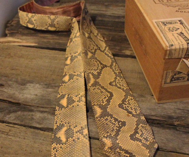 The Snakeskin Necktie