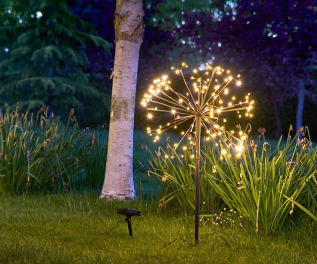 Solar Dandelion Light