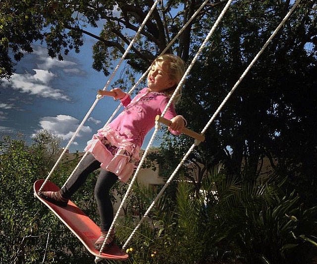 Skateboard Swing Set