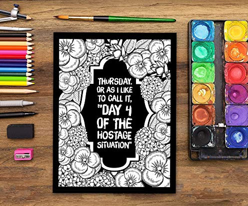 Teacher Life Snarky Coloring Book