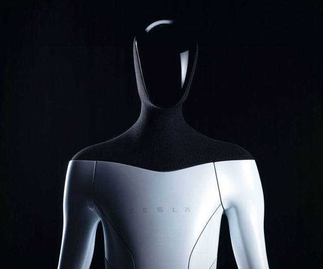 Tesla Bot