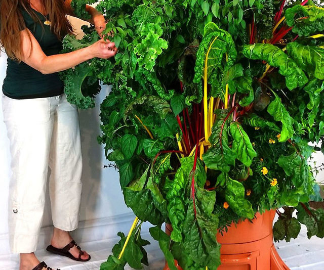 50 Plant Container Garden Tower