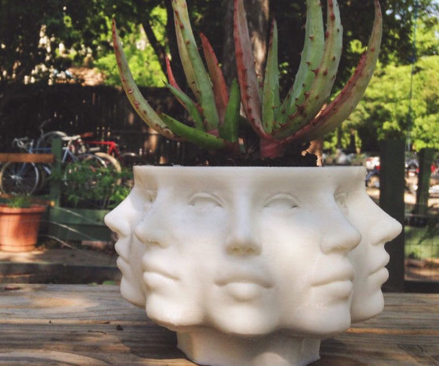 The Many Faced Planter