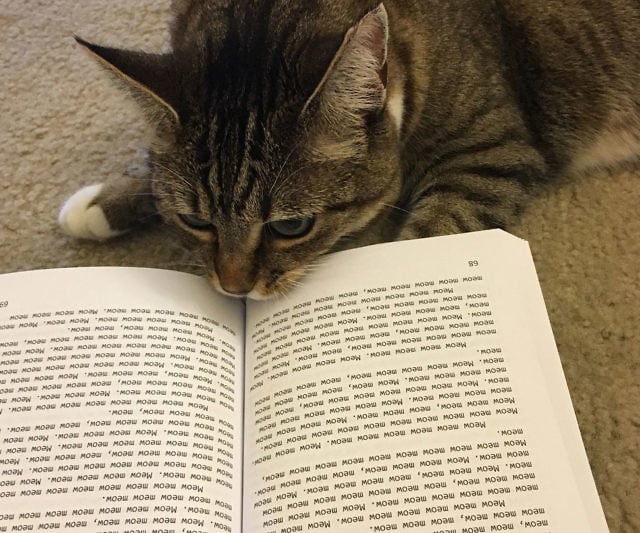 Meow The Book For Cats