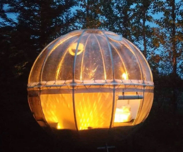 Tree House Dome