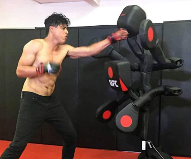 UFC Full Body Boxing Trainer
