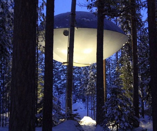 UFO Treehouse Cabin