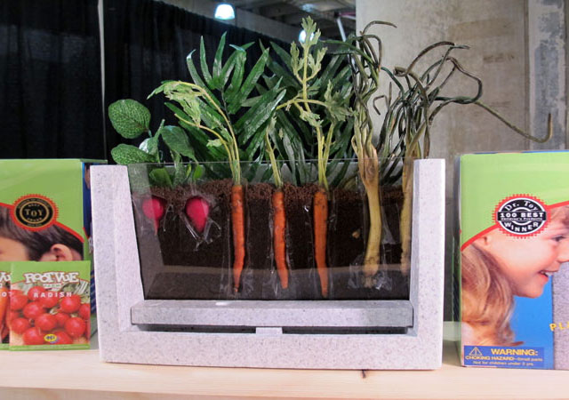 Viewable Root Garden