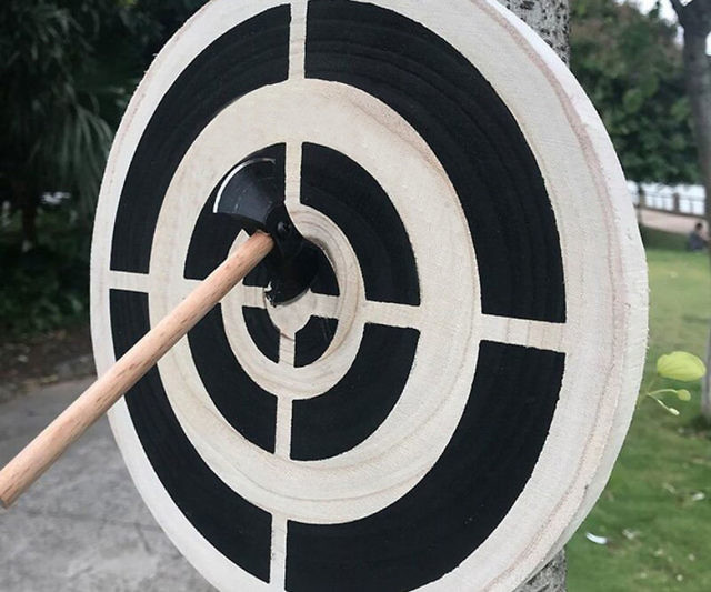 Throw Frisbee Target