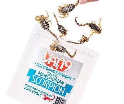 Edible Dehydrated Zebra Tarantulas