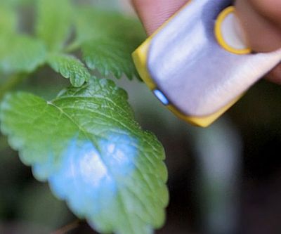 Pocket Size Molecular Sensor