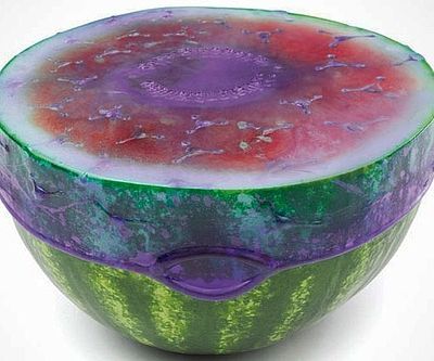 Reusable Rubber Food Savers